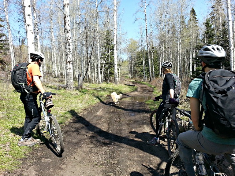 Exploring British Columbia's Recreation Sites and Trails: Lundbom Lake ...