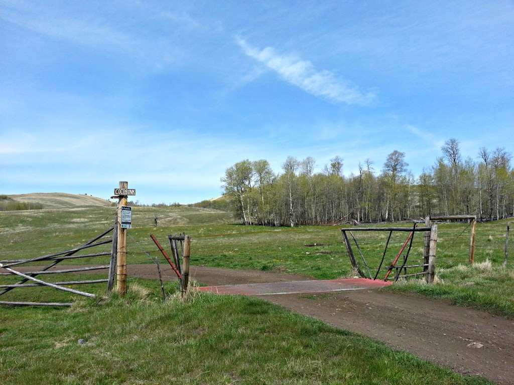 Exploring British Columbia's Recreation Sites and Trails: Lundbom Lake ...