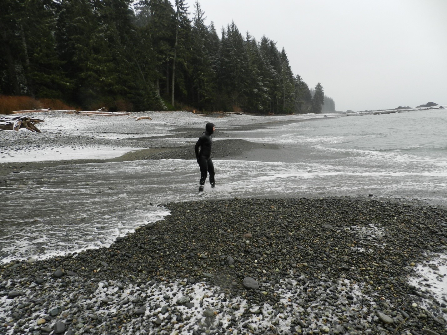 Sooke to Port Renfrew: A Day Tour to Experience the Rugged Pacific ...