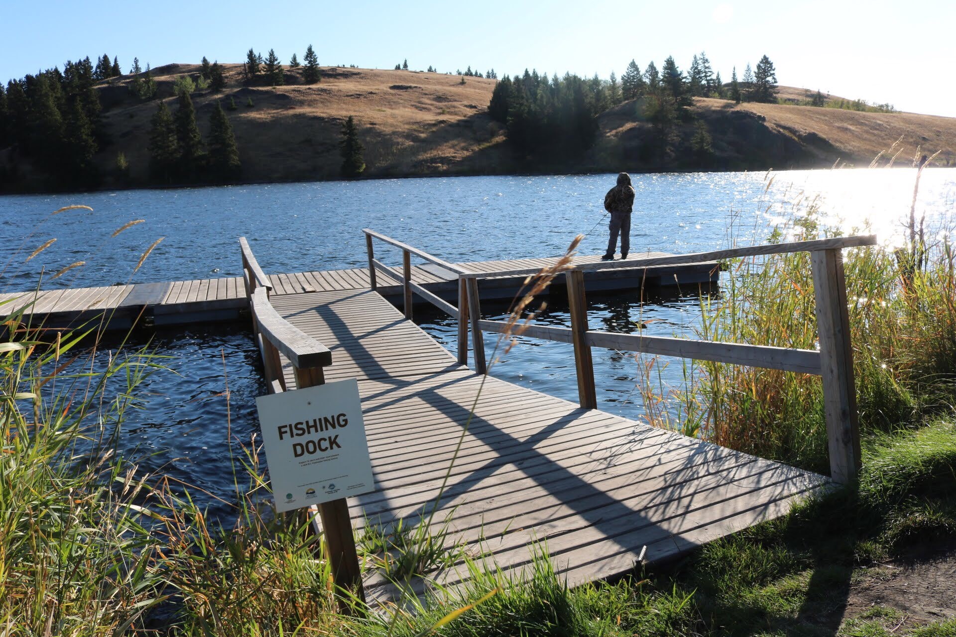 5 Reasons You Should Go Fishing While Camping in BC This Year | Camping ...
