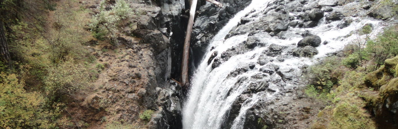Englishman River Falls Provincial Park | Camping & RVing BC