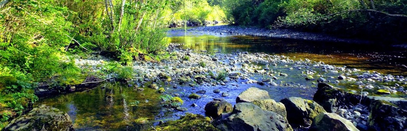 Quatse River Campground | Camping & RVing BC