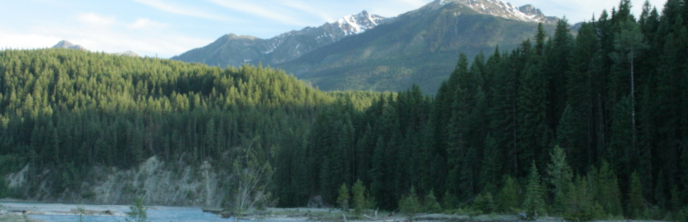 Bluewater Creek | Camping & RVing BC