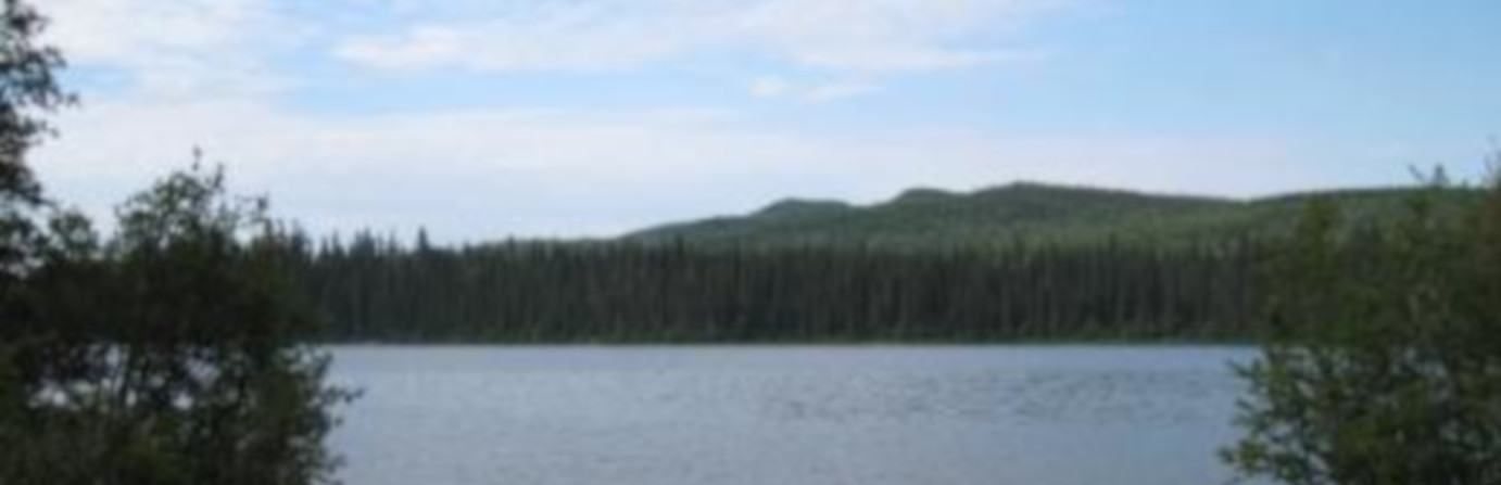Bootjack Lake | Camping & RVing BC