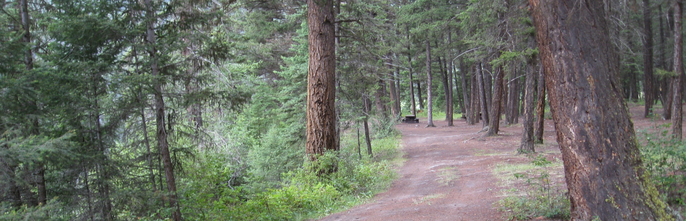 Deadman Lake | Camping & RVing BC