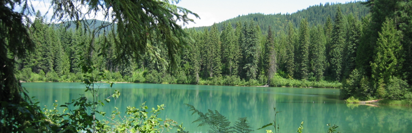 Larson Lake | Camping & RVing BC
