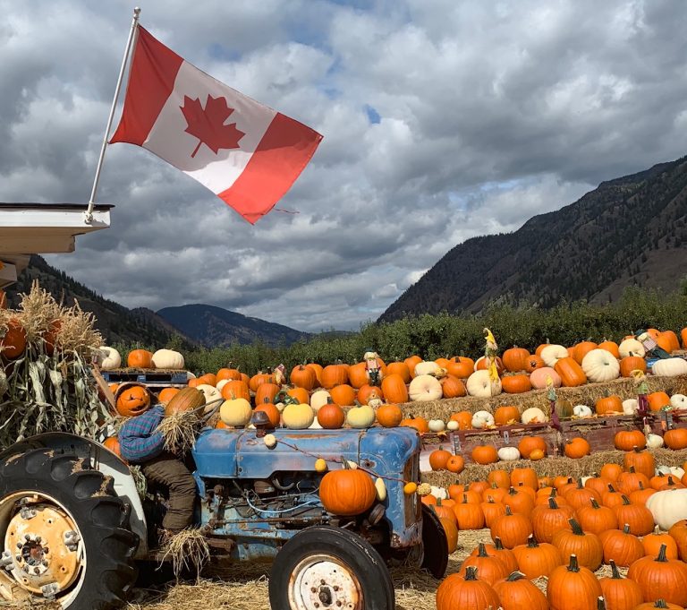 Discovering Camping in British Columbia in the Fall Season | Camping ...