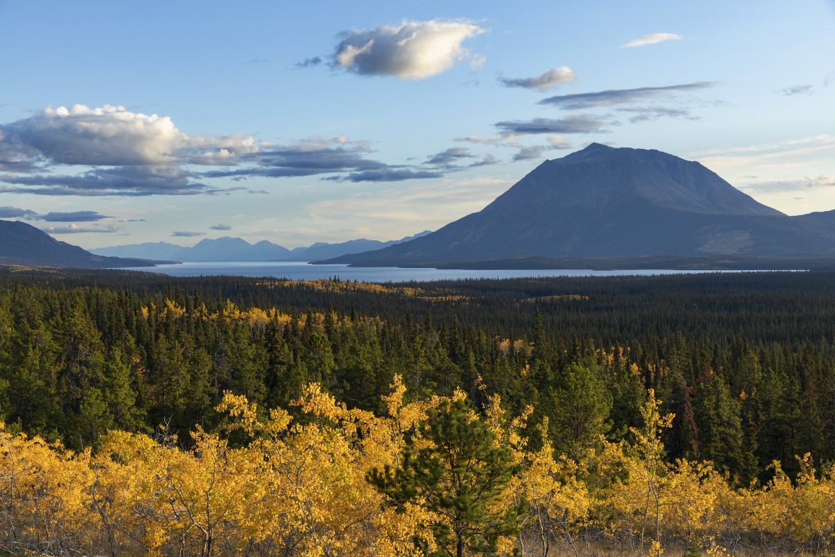 RV Adventures in Northern BC - Road to Atlin - Camping & RVing BC