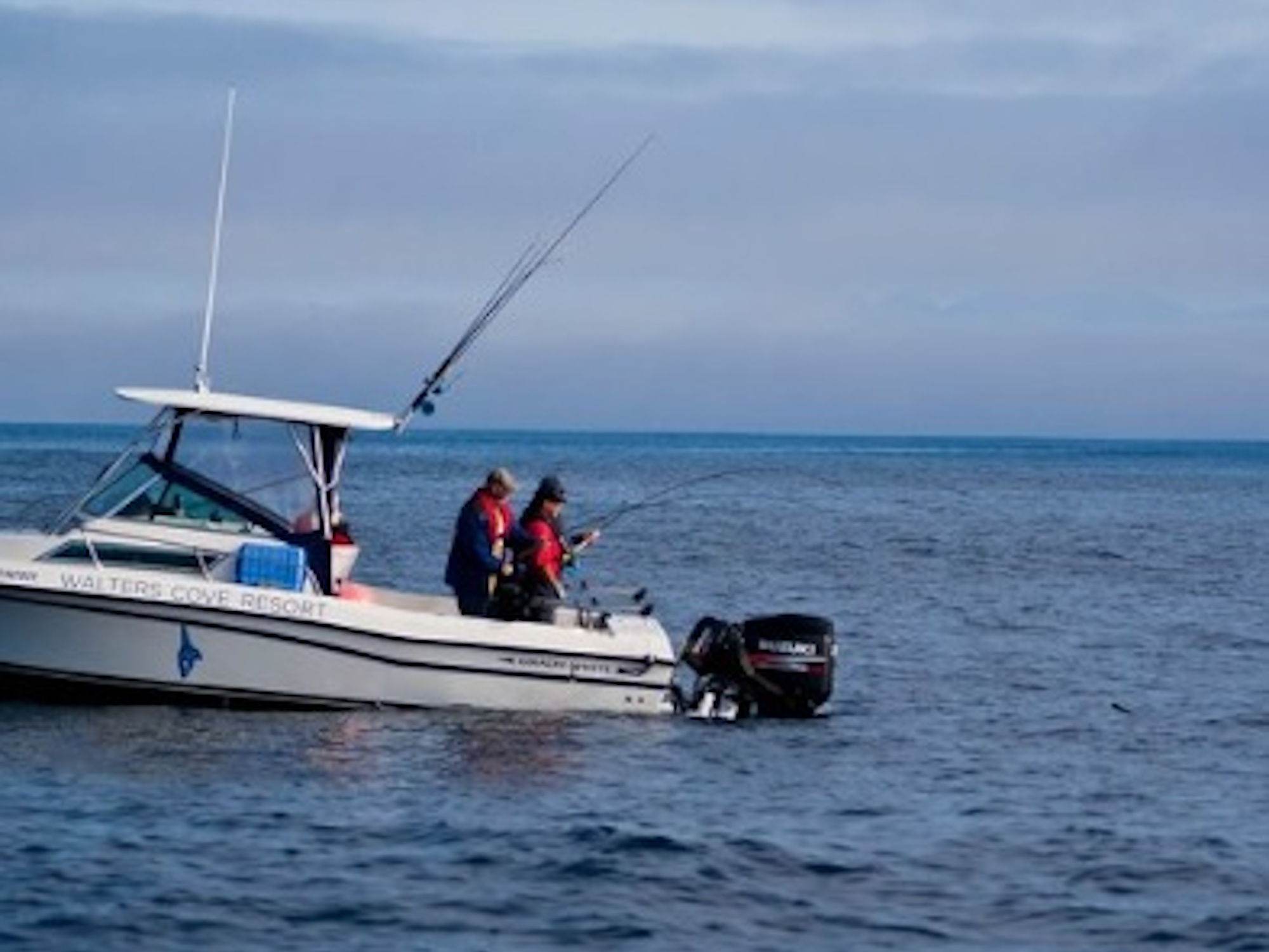 Fair Harbour Marina & Campground | Camping & RVing BC