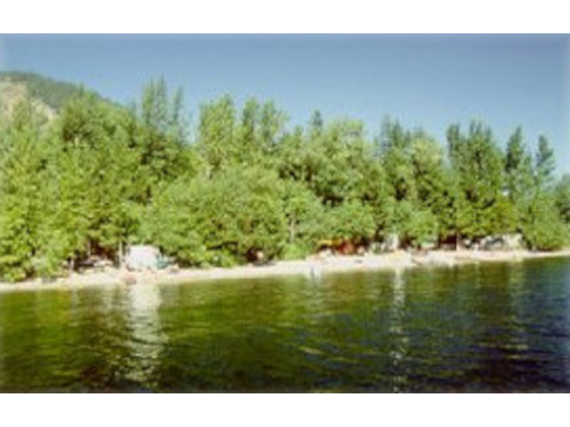 Adams Lake (Bush Creek Site) Provincial Park | Camping & RVing BC
