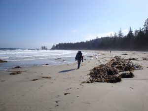 Cape Scott Provincial Park | Camping & RVing BC