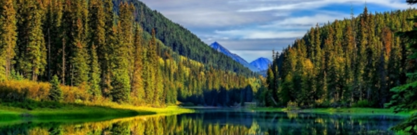 Duffey Lake Provincial Park | Camping & RVing BC Duffey Lake Provincial Park | Camping & RVing BC