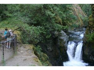 Englishman River Falls Provincial Park | Camping & RVing BC