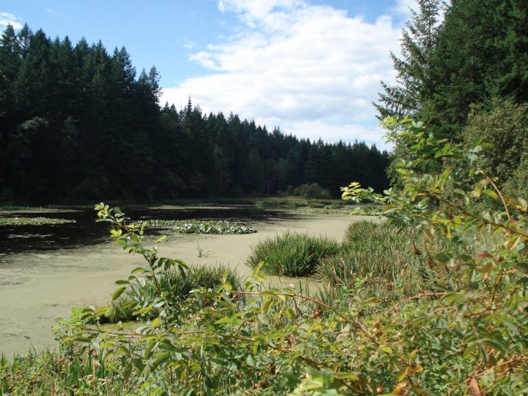 Hemer Provincial Park | Camping & RVing BC
