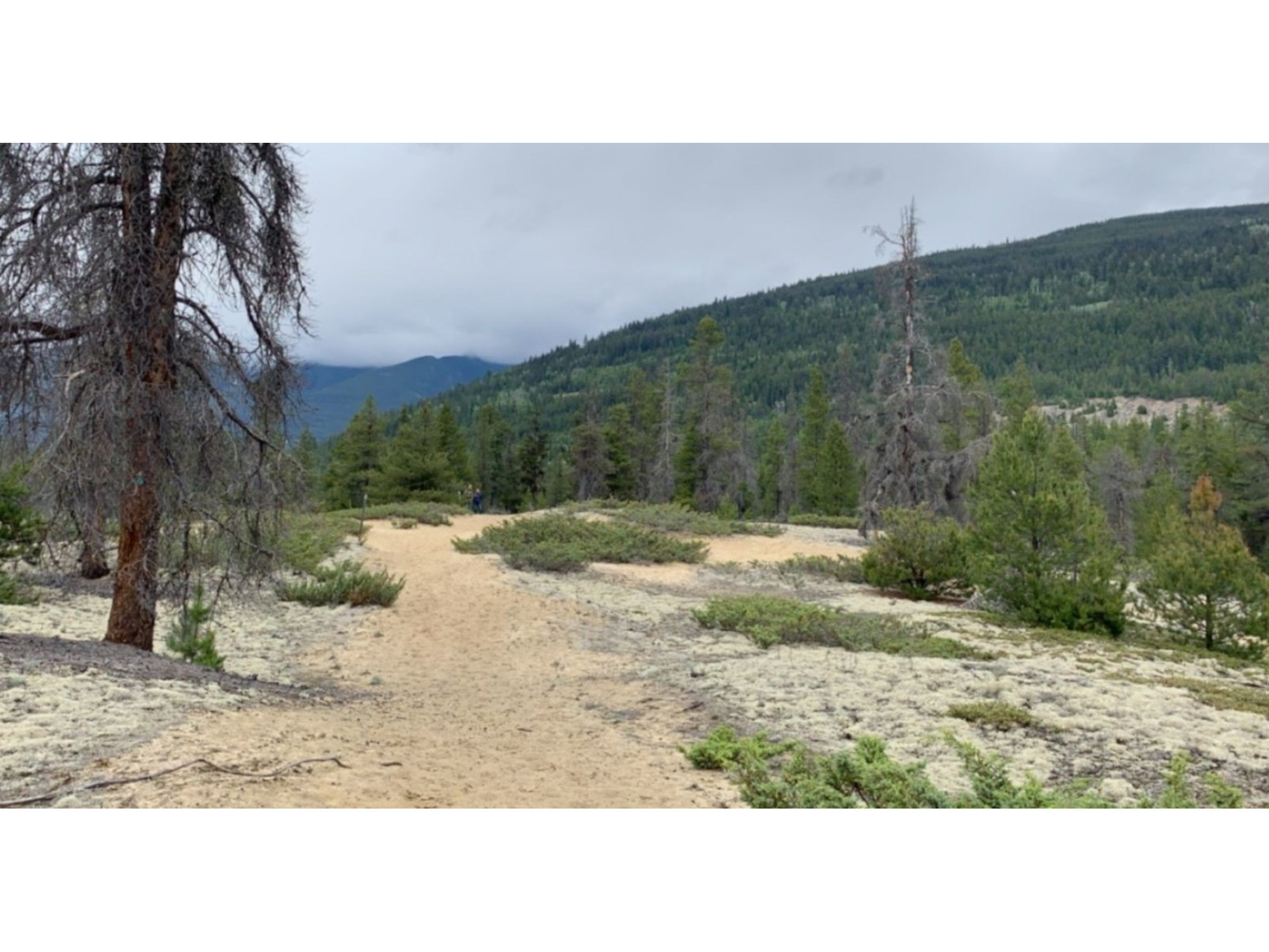 Jackman Flats Provincial Park | Camping & RVing BC