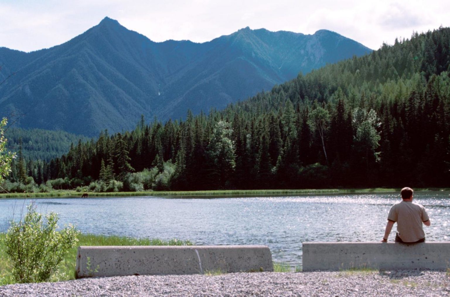 Premier Lake Provincial Park | Camping & RVing BC