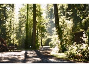 Quatse River Campground | Camping & RVing BC