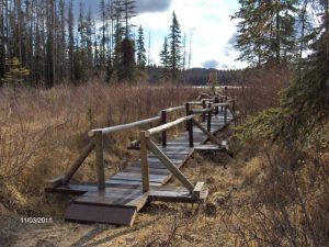 Antler Lake | Camping & RVing BC
