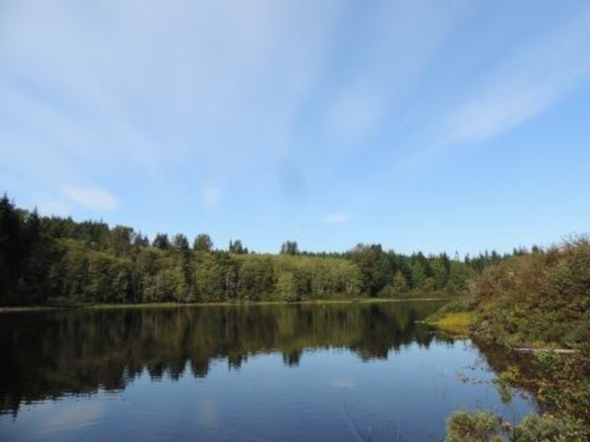 Apple Point | Camping & RVing BC