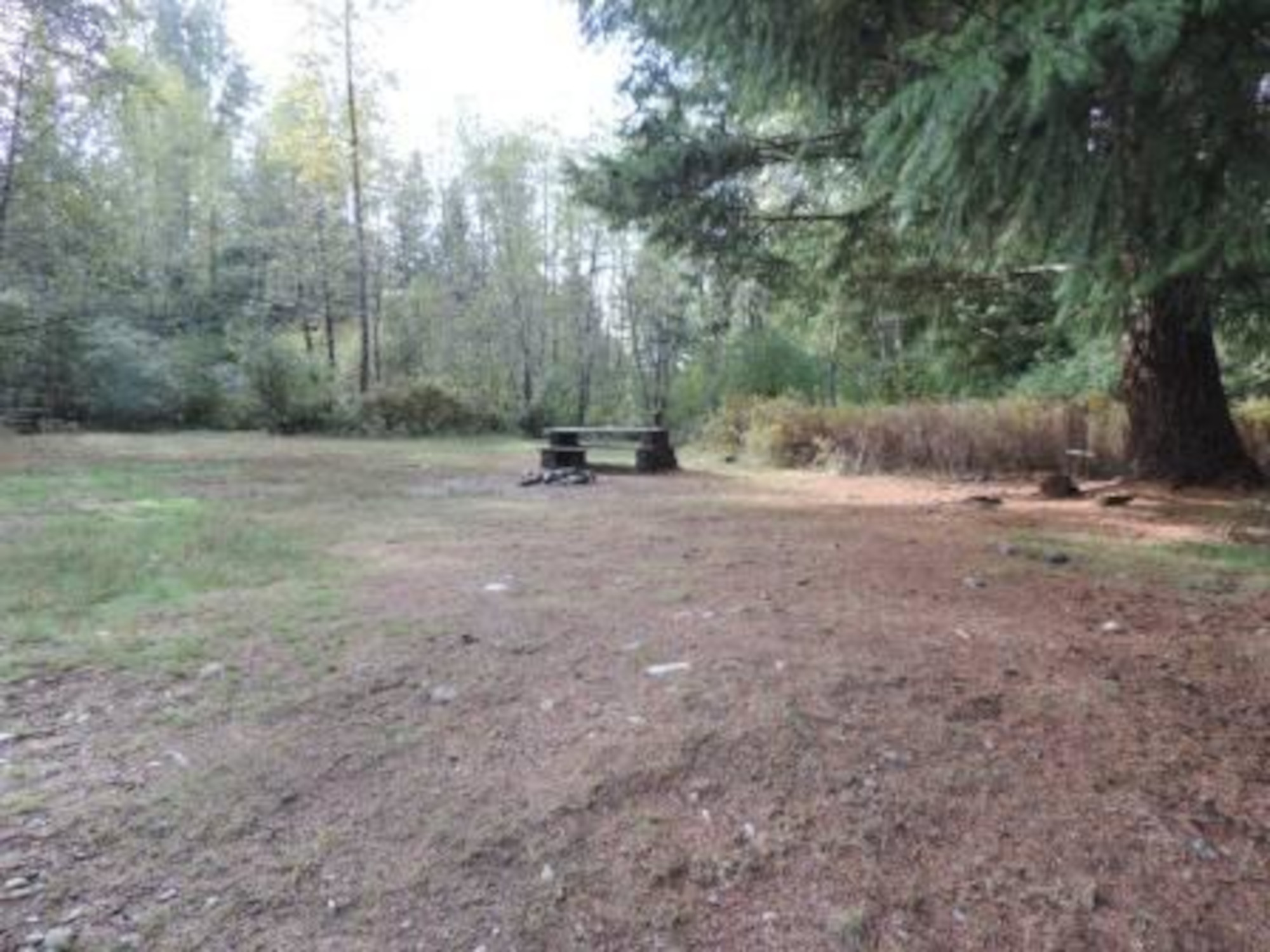 Apple Point | Camping & RVing BC