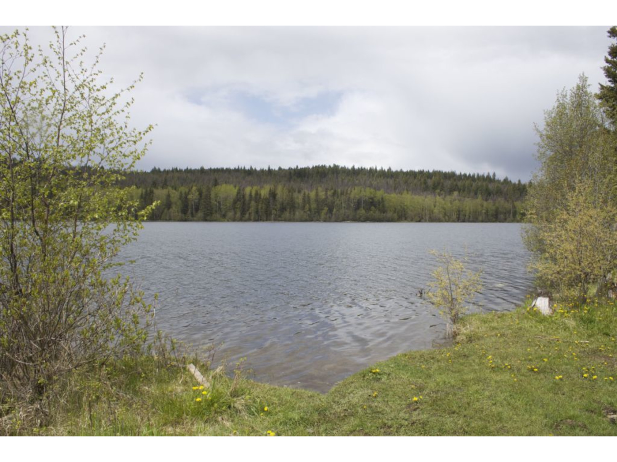Badger Lake | Camping & RVing BC