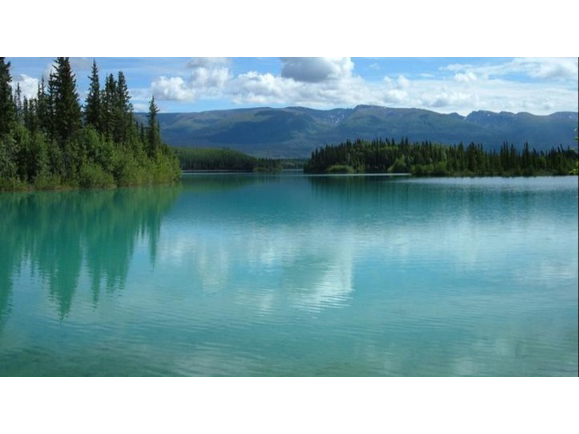 Tā Ch’ilā Provincial Park (Boya Lake) | Camping & RVing BC
