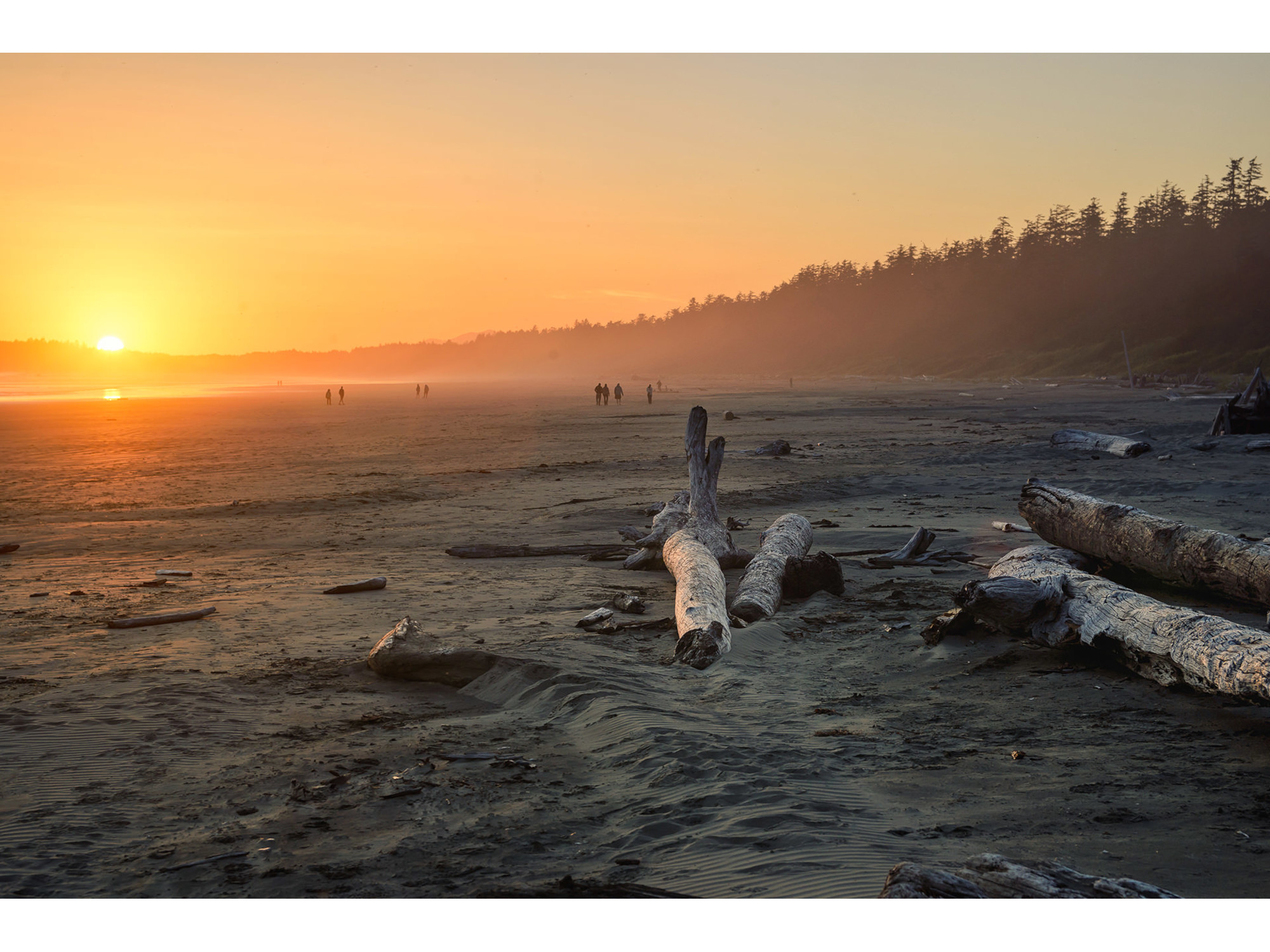Pacific Rim National Park Reserve, Green Point Campground | Camping ...