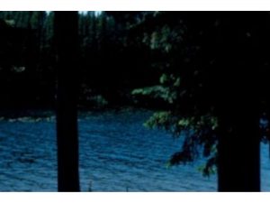 Pennask Lake Provincial Park | Camping & RVing BC