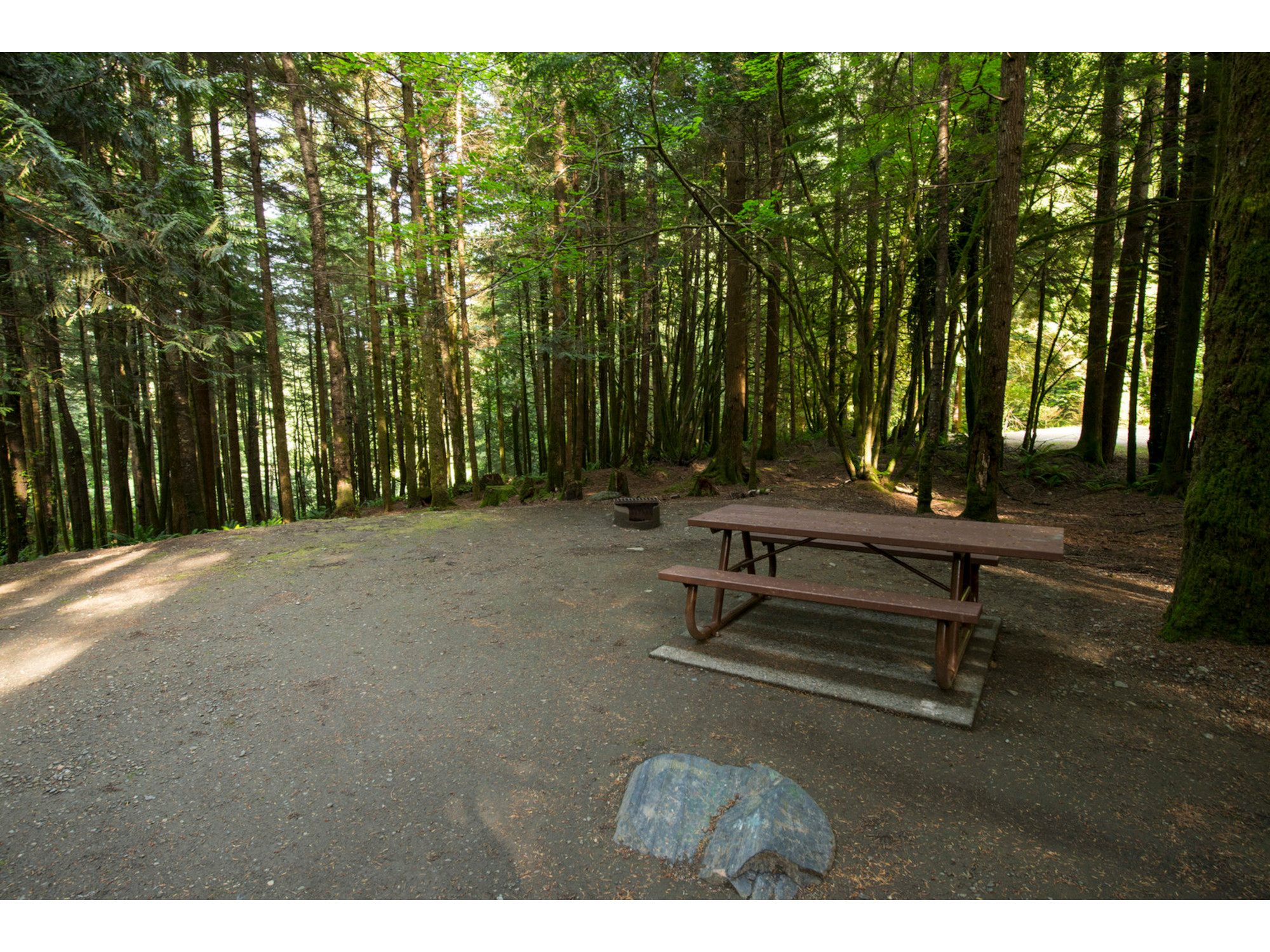 Sasquatch Provincial Park - Bench Campground | Camping & RVing BC