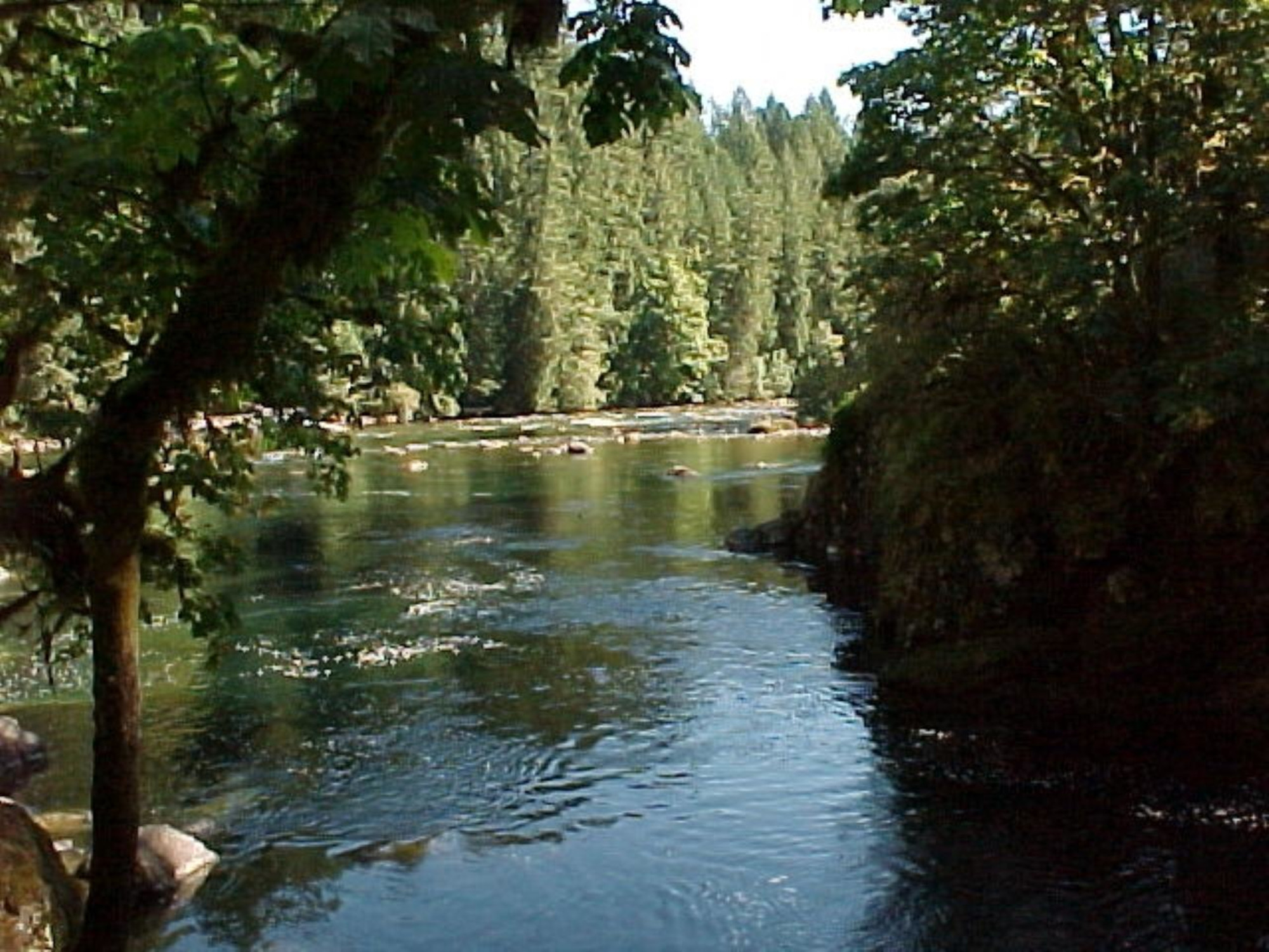Stamp River Provincial Park | Camping & RVing BC