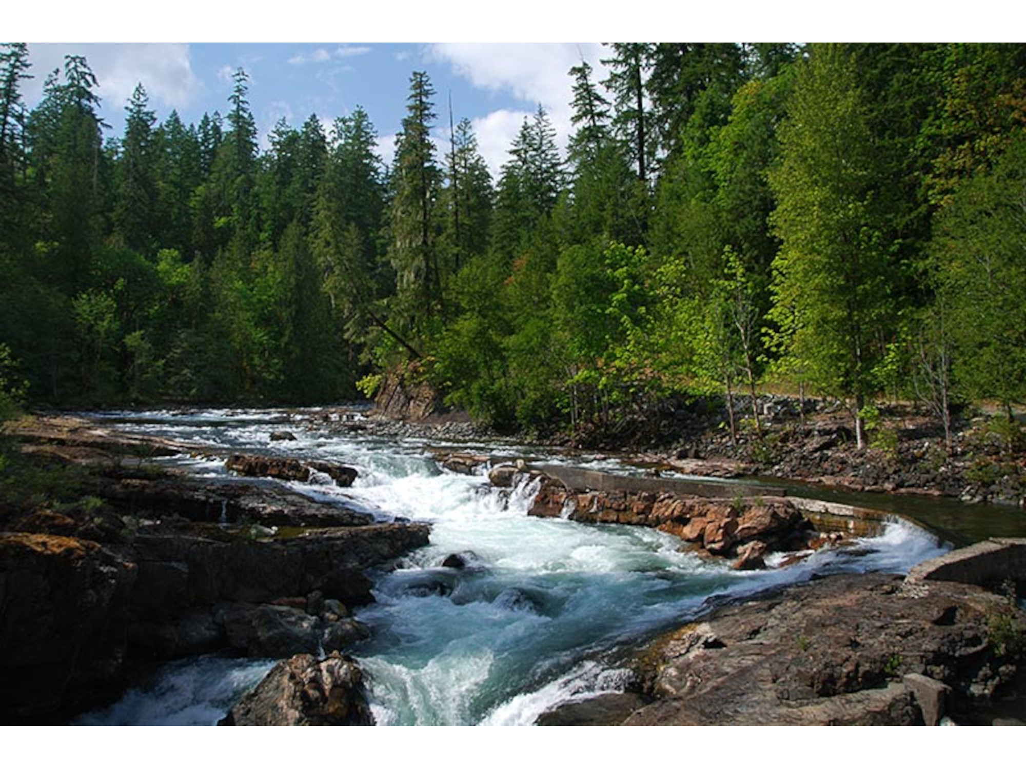 Stamp River Provincial Park | Camping & RVing BC