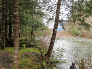 Strathcona Provincial Park | Camping & RVing BC