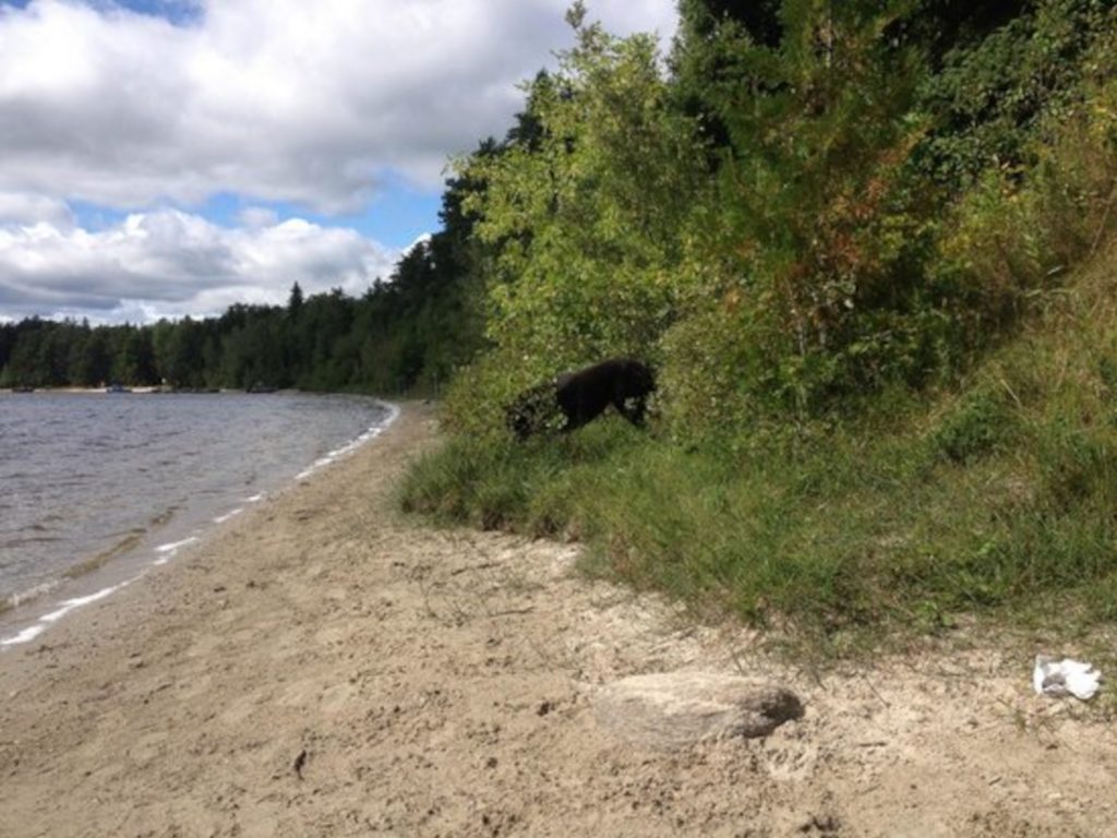 White Lake Provincial Park | Camping & RVing BC