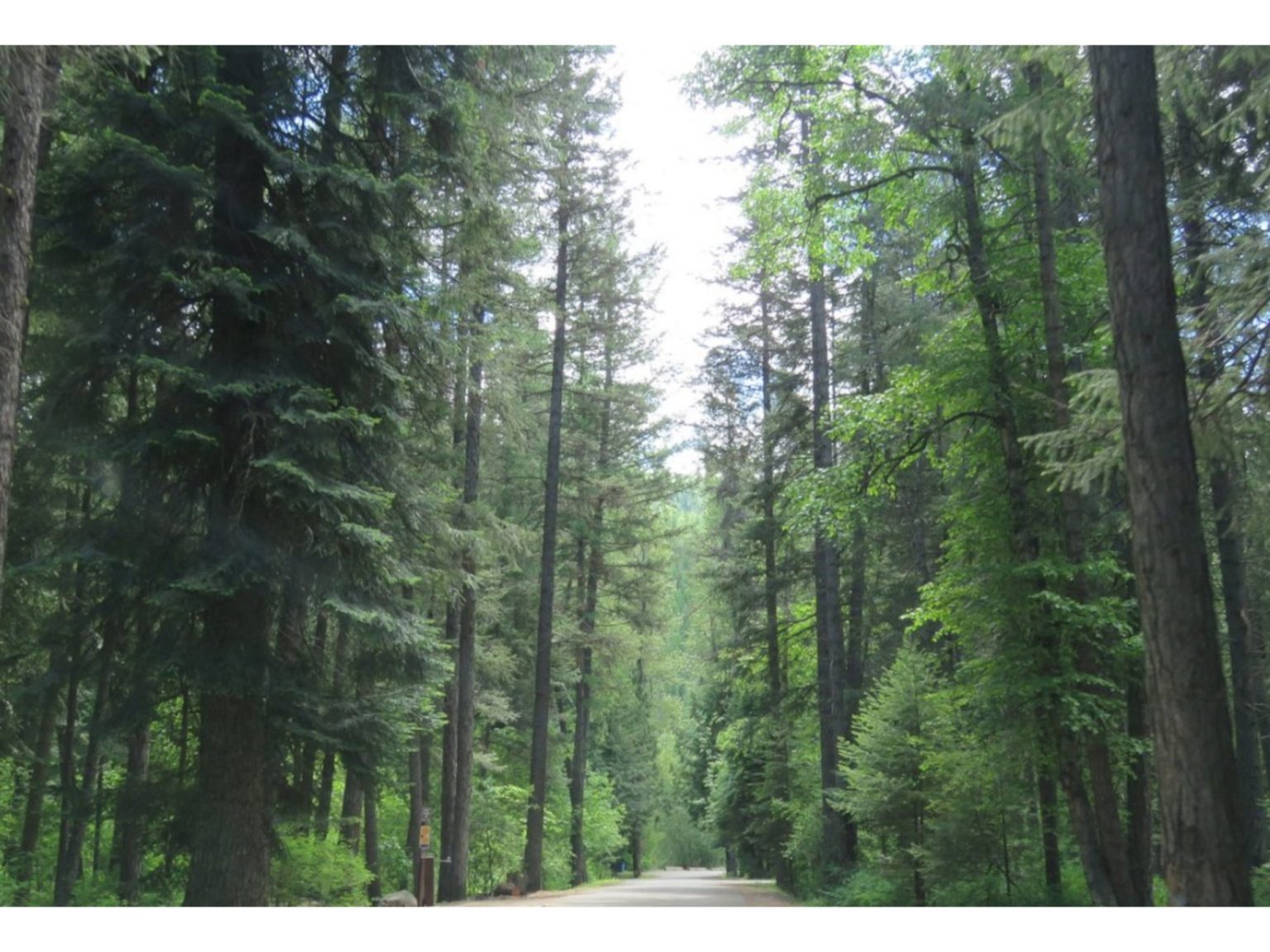 Yahk Provincial Park | Camping & RVing BC
