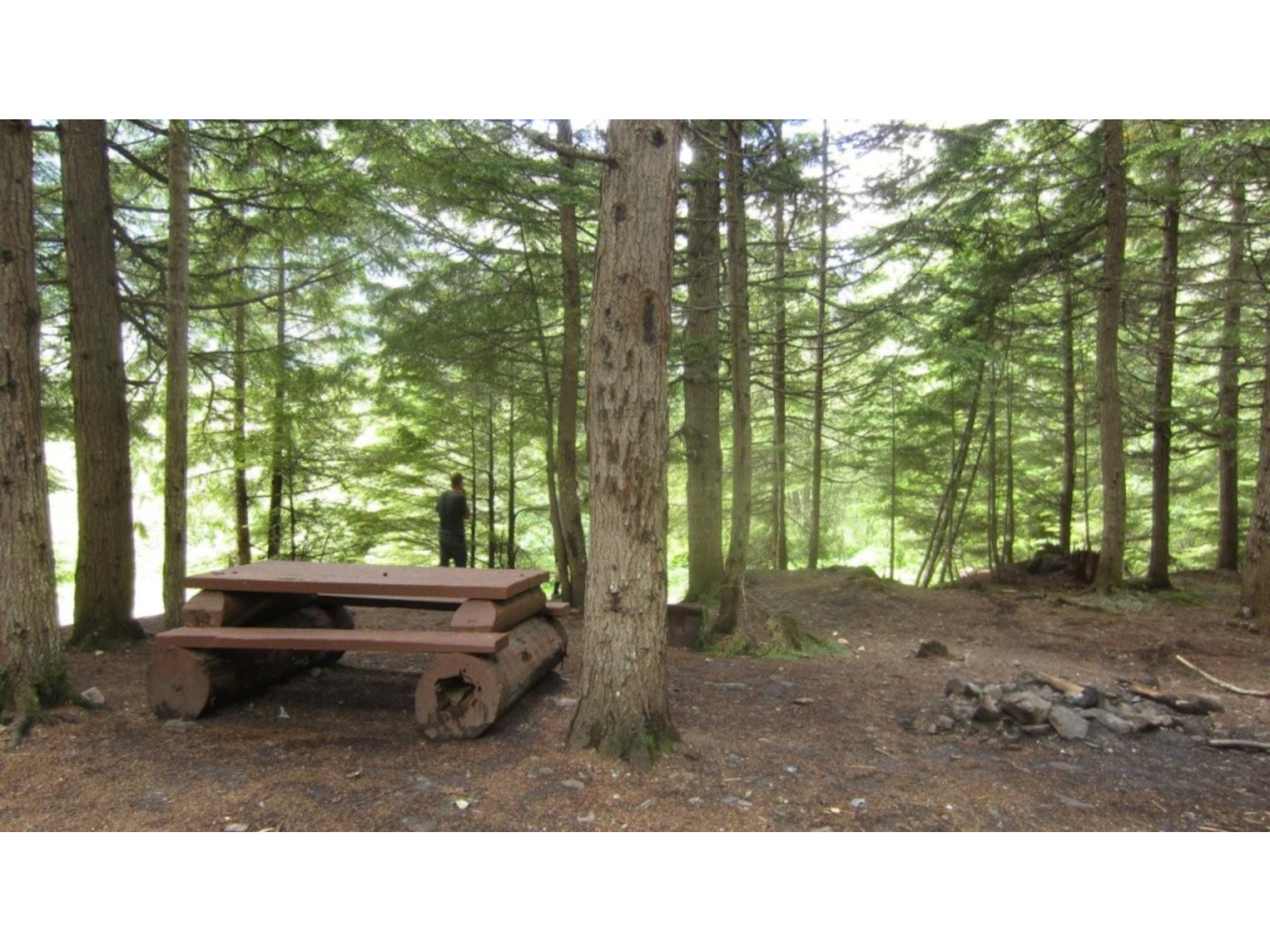 Beaver Lake | Camping & RVing BC