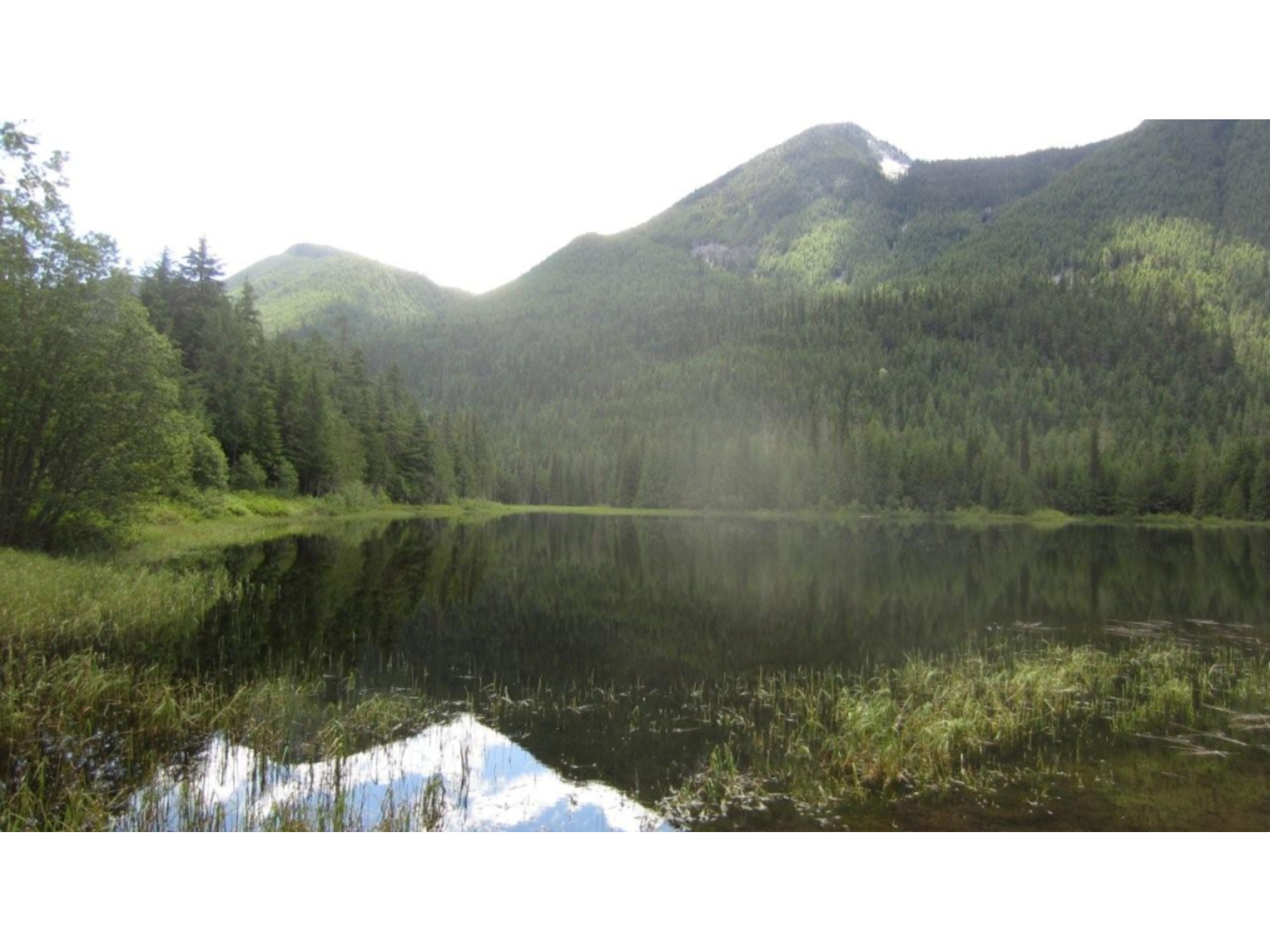 Beaver Lake | Camping & RVing BC