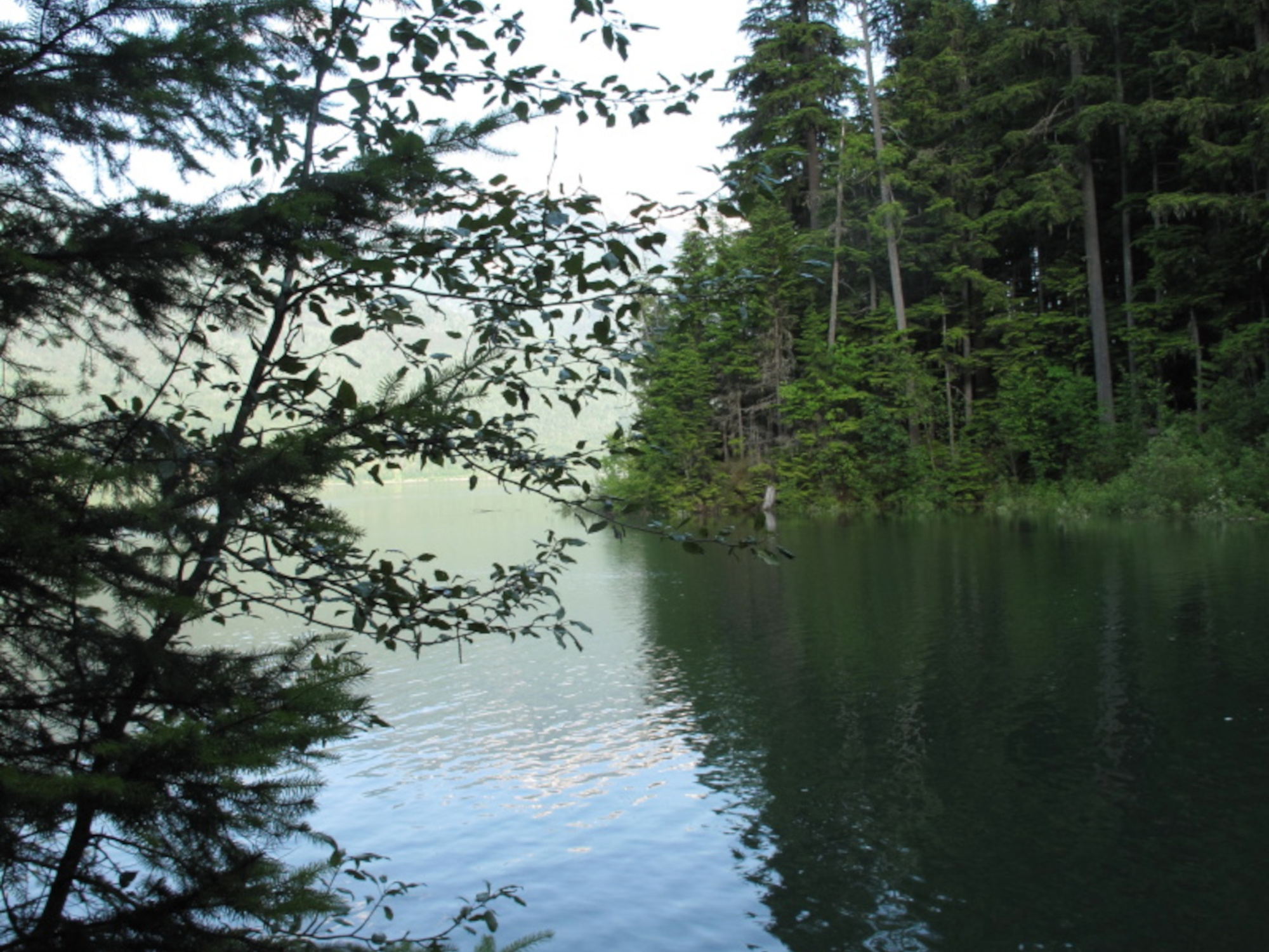 Begbie Falls | Camping & RVing BC