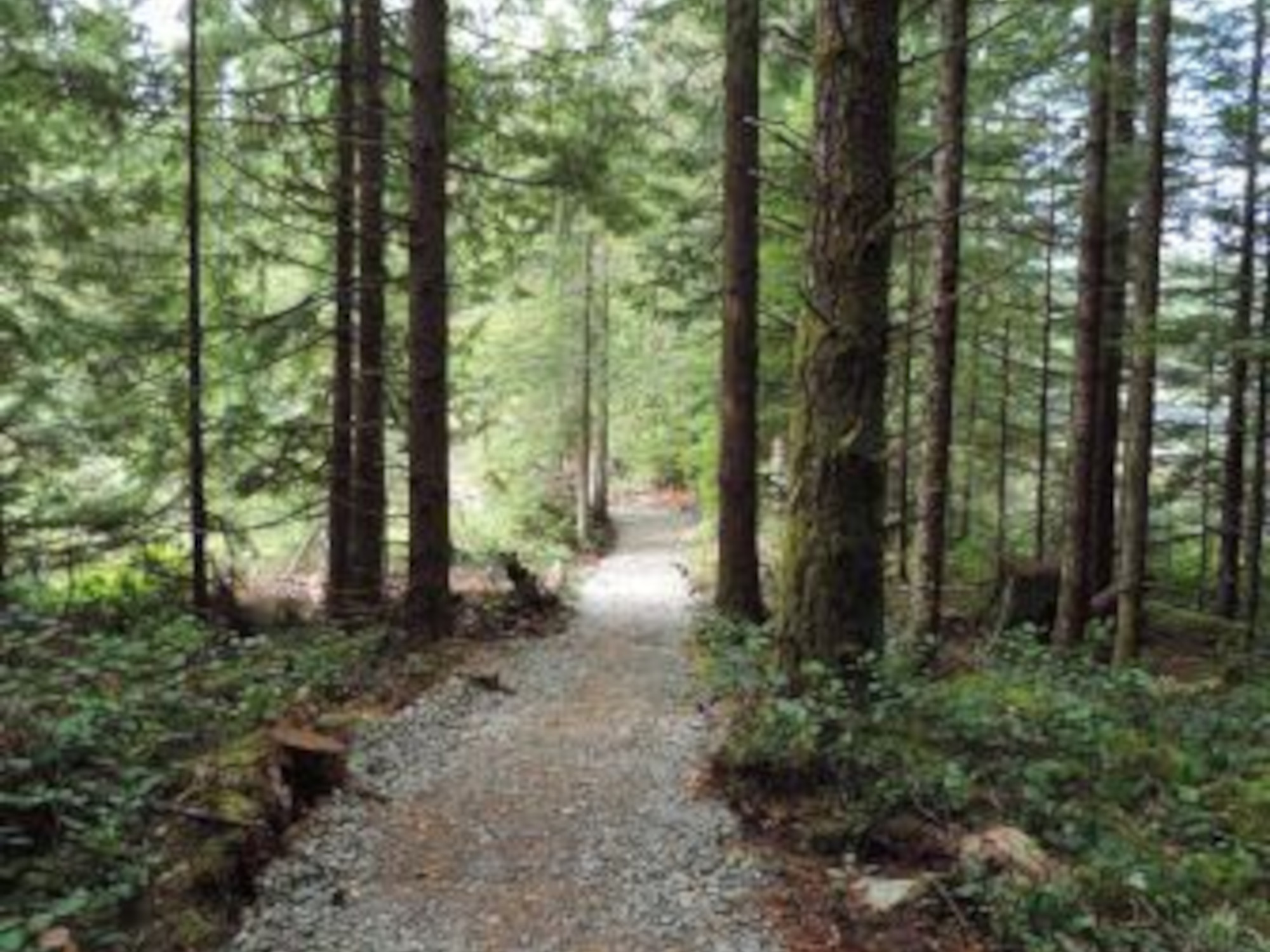 Blackwater Point | Camping & RVing BC