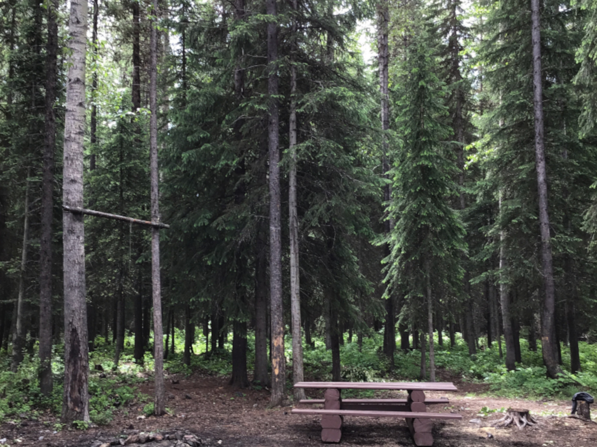 Blue Lake | Camping & RVing BC