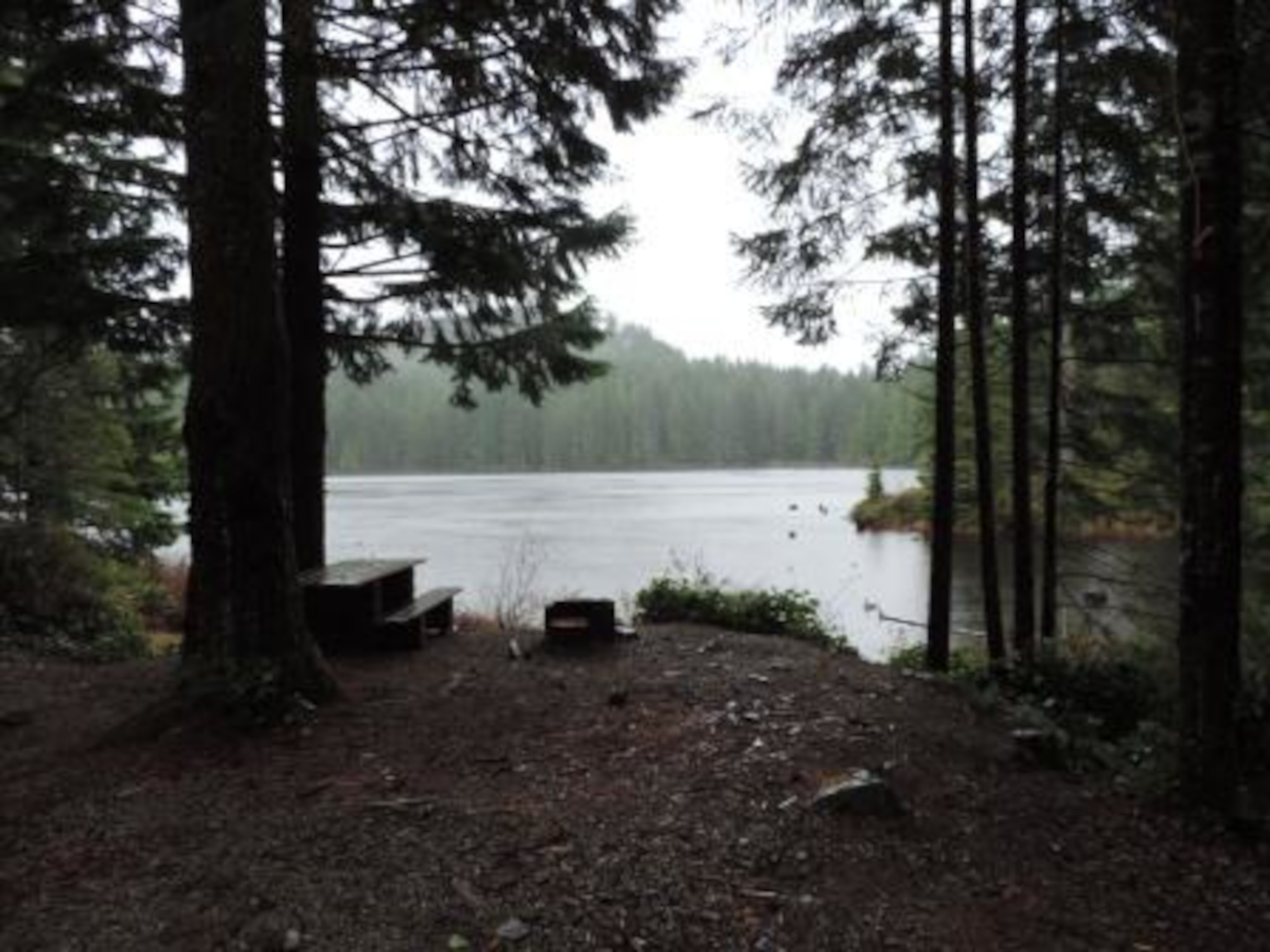 Cedar Lake | Camping & RVing BC
