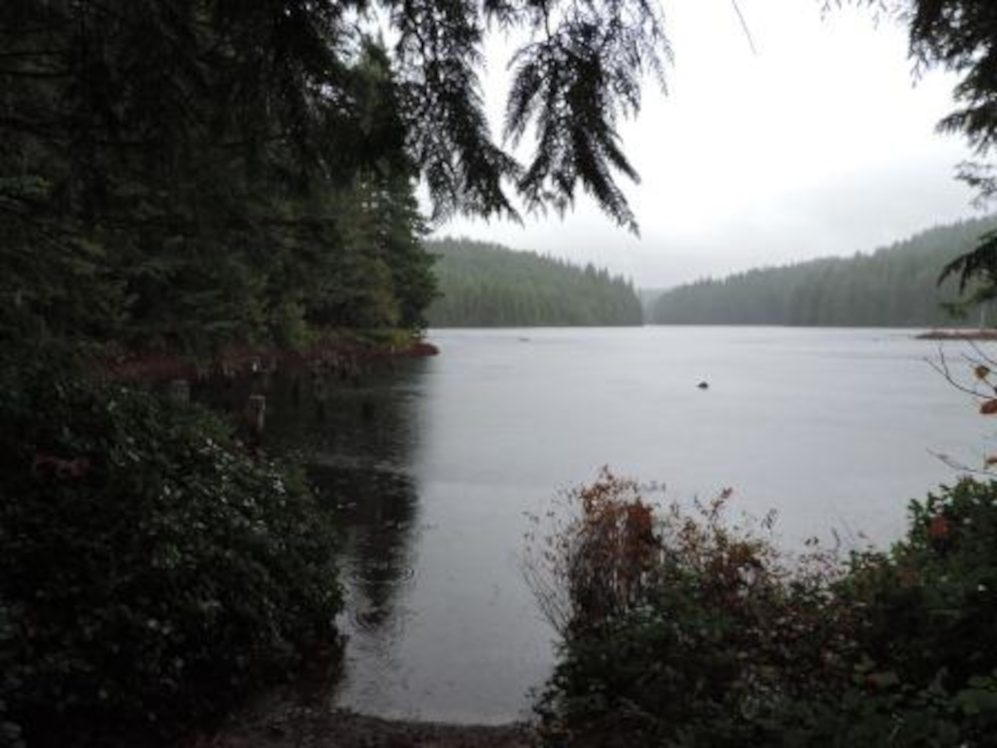 Cedar Lake | Camping & RVing BC