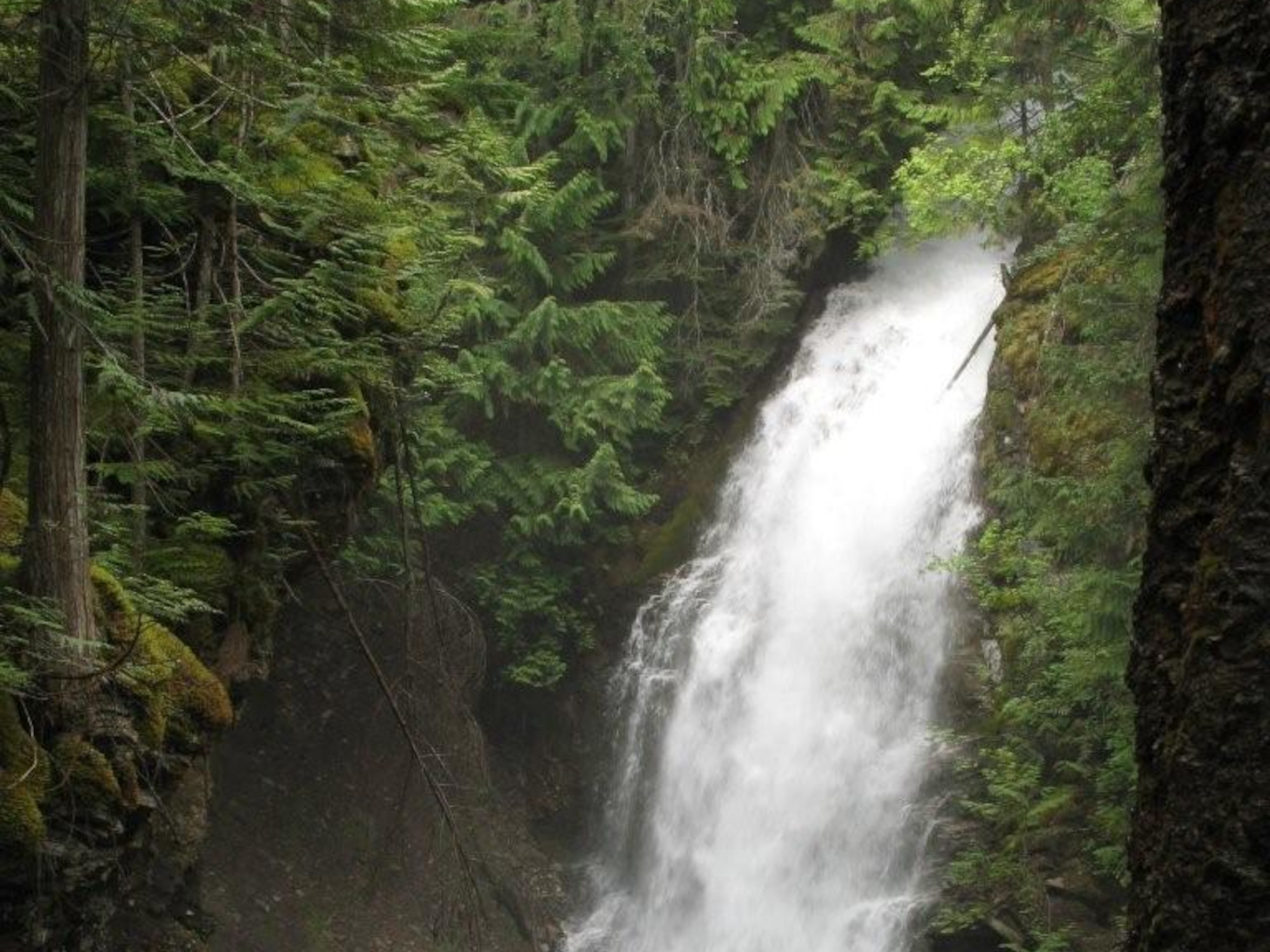 Fletcher Cr Falls | Camping & RVing BC