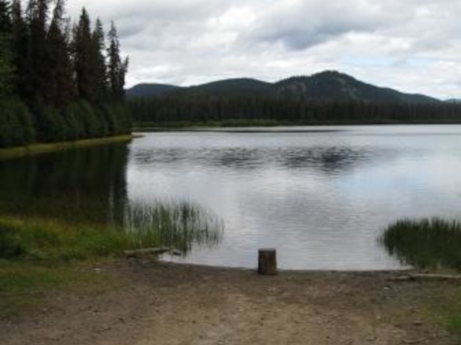French Lake South | Camping & RVing BC