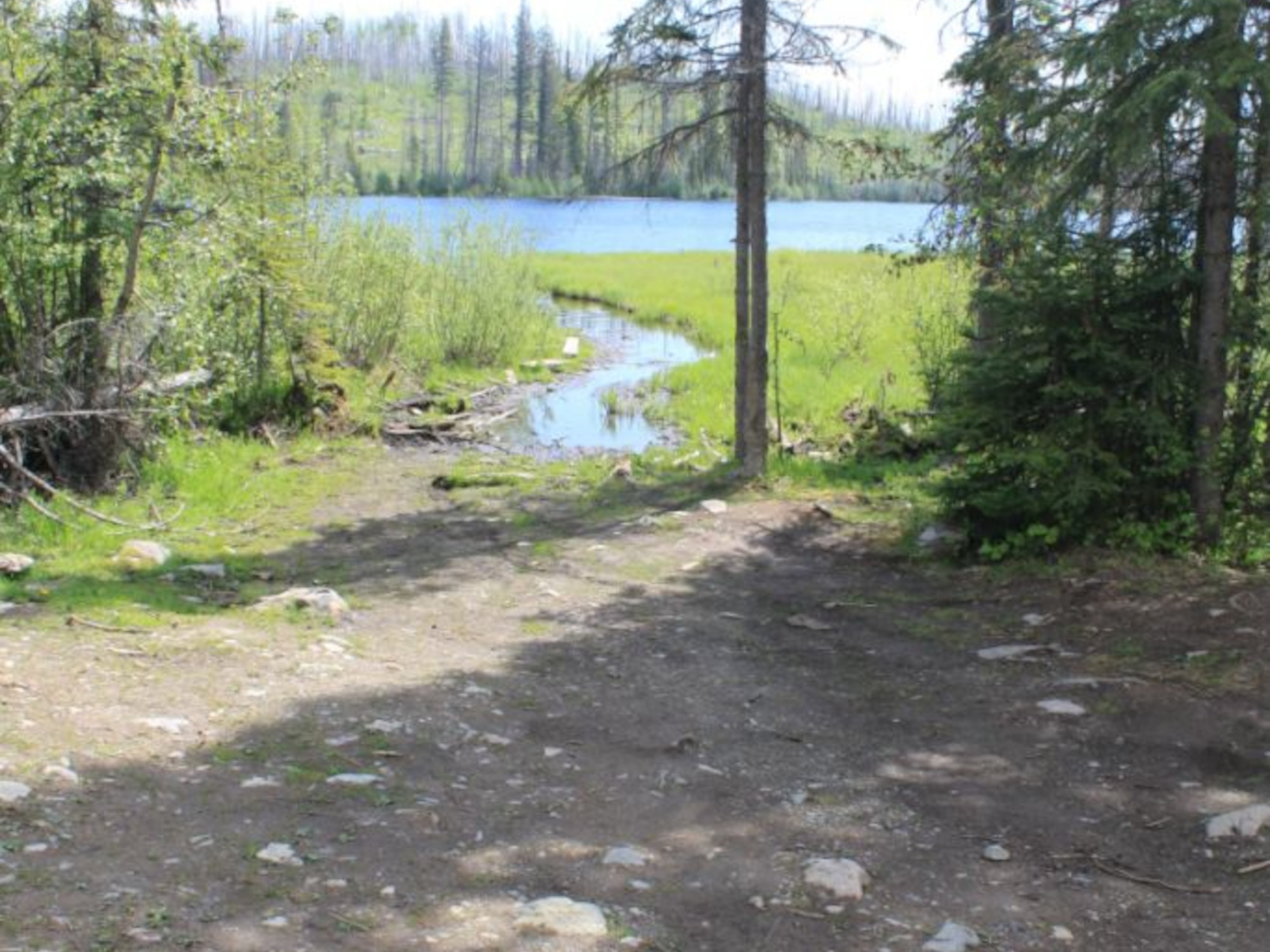 Gorman Lake | Camping & RVing BC
