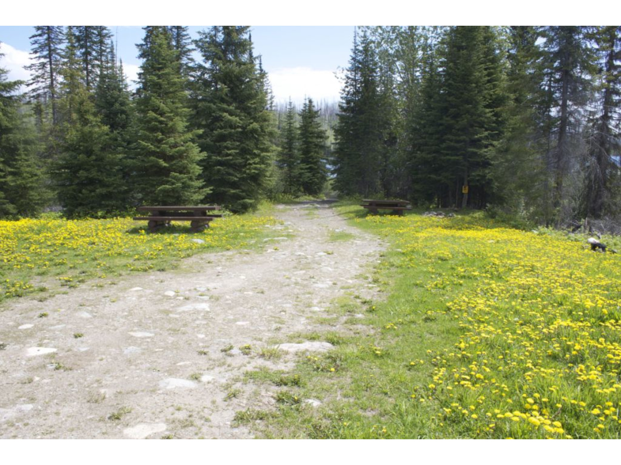 Gorman Lake | Camping & RVing BC