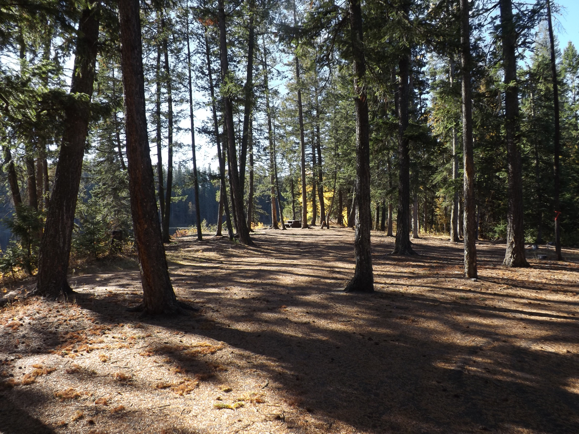 Hogsback Lake | Camping & RVing BC