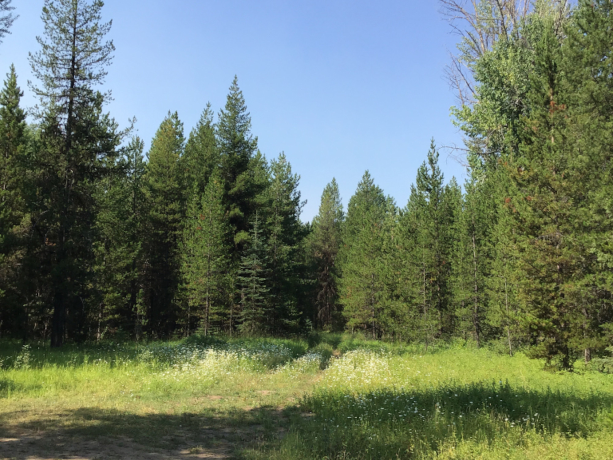 Howell Creek | Camping & RVing BC