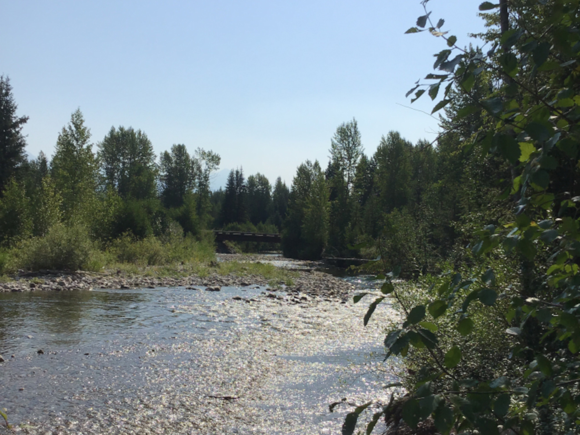 Howell Creek | Camping & RVing BC