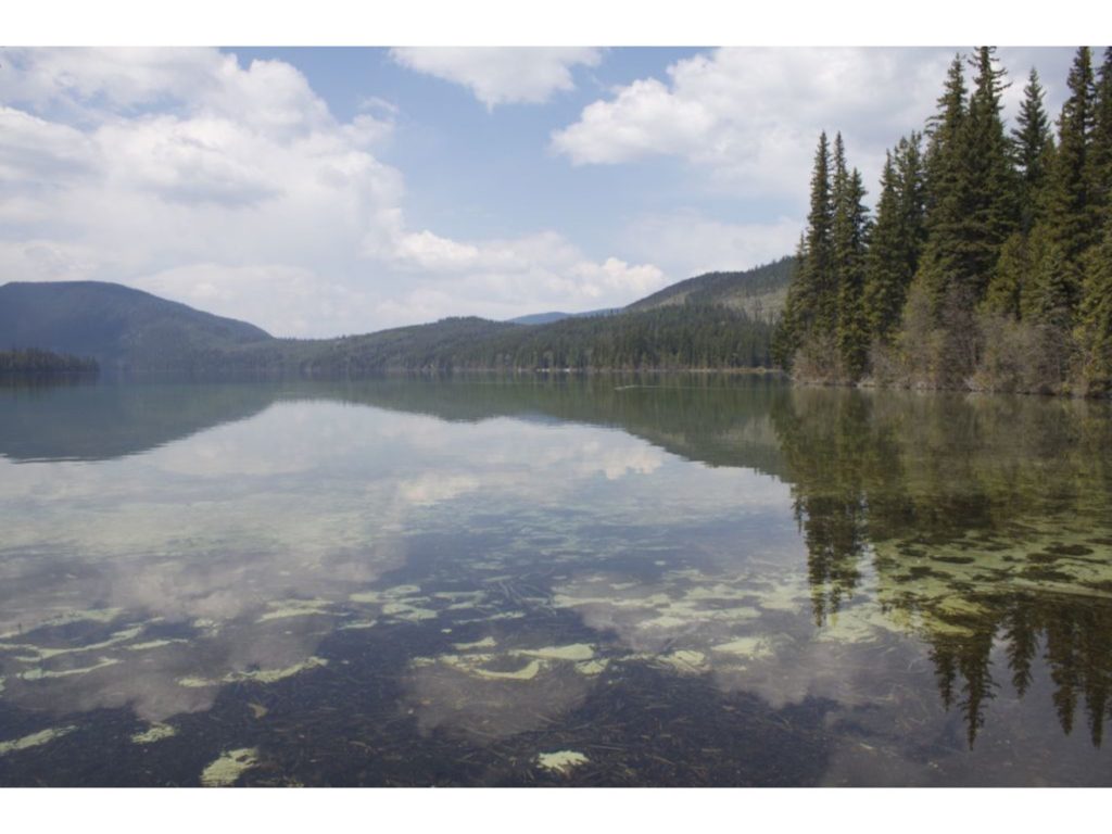 Johnson Lake East | Camping & RVing BC