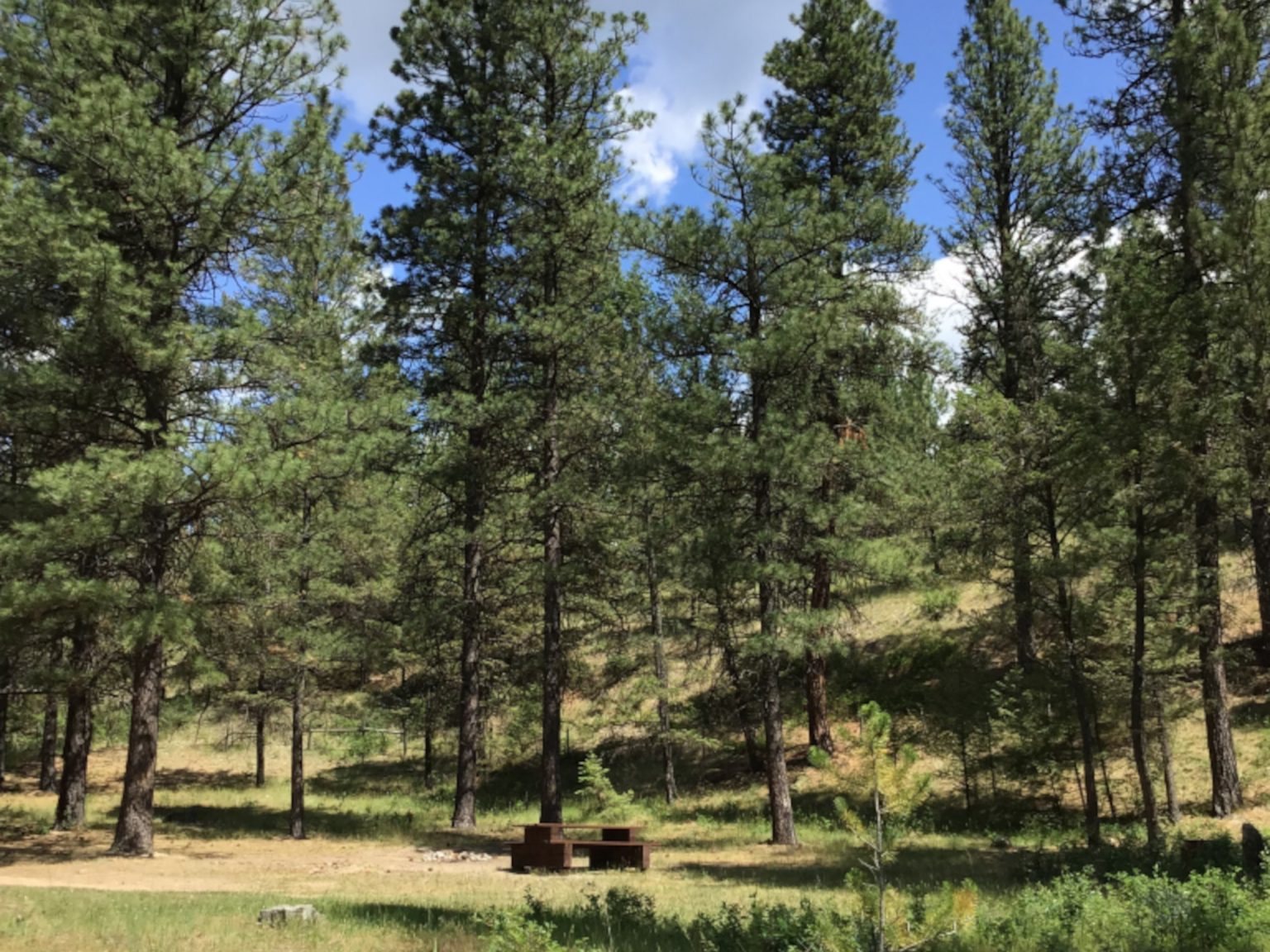 Johnson Lake | Camping & RVing BC